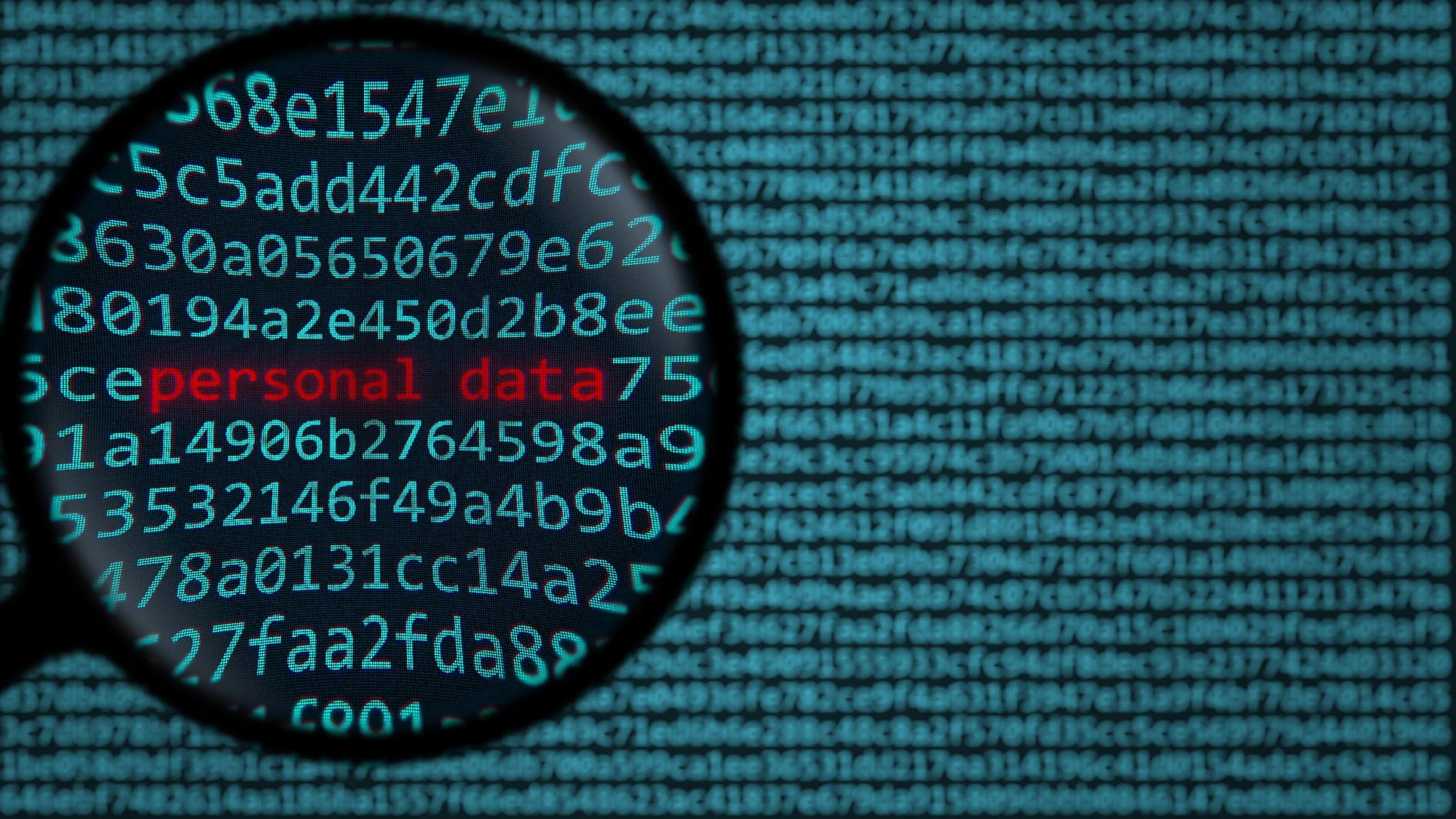 Five Best Practices For Data Discovery & Classification | Northdoor